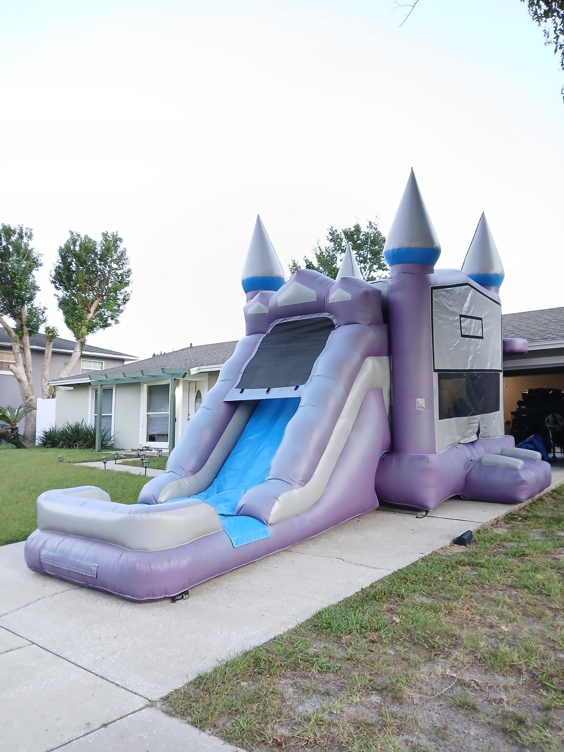 Purple Water Slide Castle Bounce